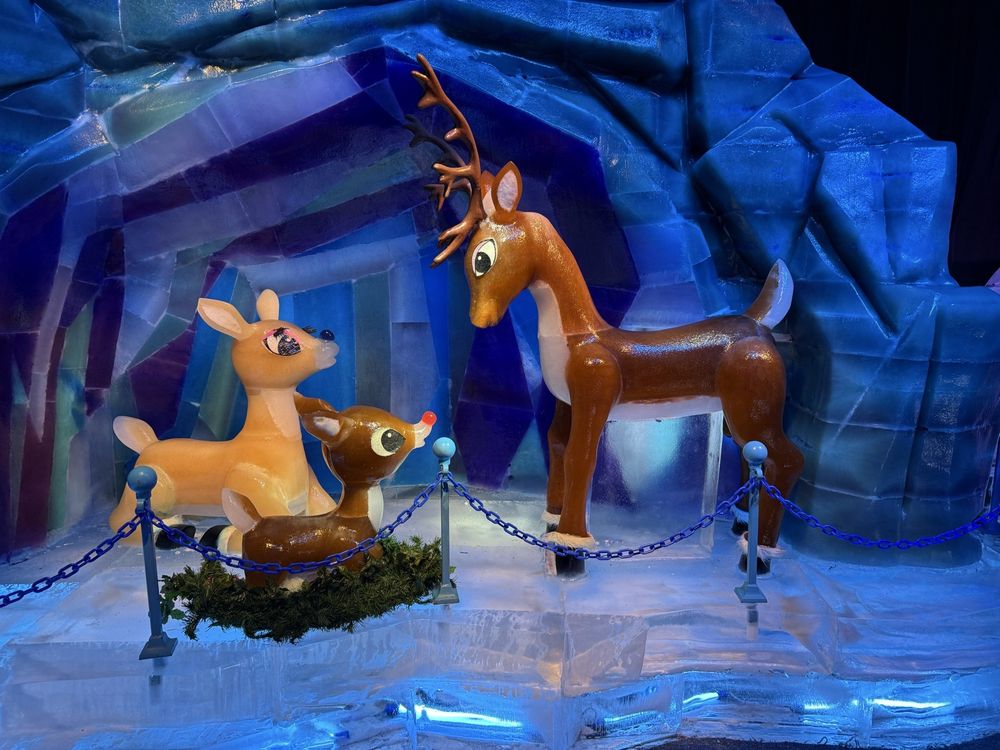 ICE! AT GAYLORD TEXAN - Updated October 2025 - 210 Photos & 90 Reviews ...