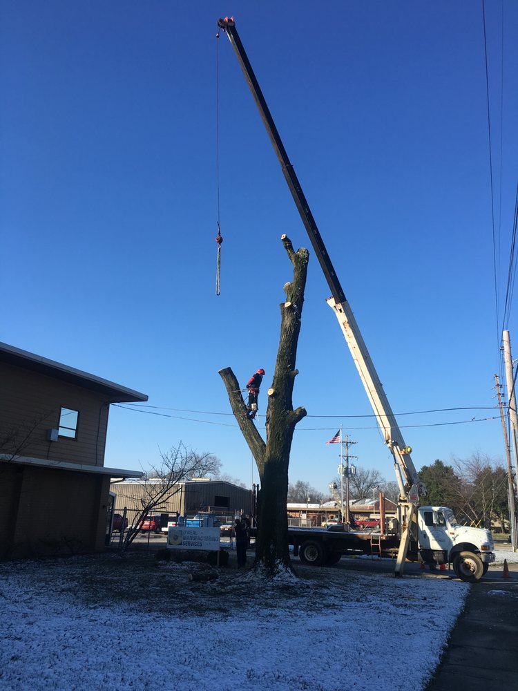 ER TREE CARE - Updated October 2024 - 1231 Old Fern Valley Rd ...