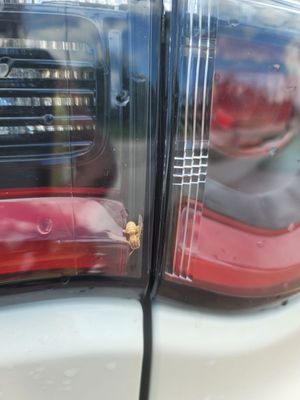 ORLANDO CHRYSLER DODGE JEEP RAM - Updated January 2026 - 46 Photos ...