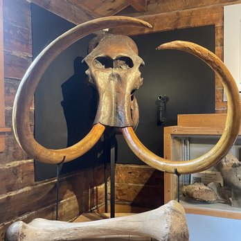 MORRISON NATURAL HISTORY MUSEUM - Updated March 2025 - 51 Photos & 49 ...