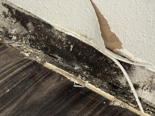 TEXAS RENTERS - Updated December 2025 - 25 Photos & 147 Reviews - 5225 ...