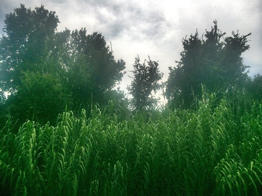 BRITTON PARK - Updated July 2025 - Britton Park, Mansfield, Texas ...