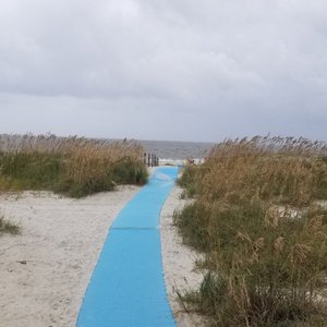 FOLLY FIELD BEACH PARK - 82 Photos & 23 Reviews - 55 Starfish Dr ...