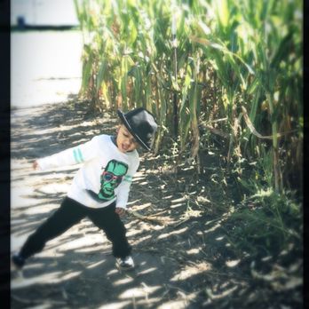 RELLEKE FARMS - Updated October 2025 - 22 Photos & 11 Reviews - 473 ...