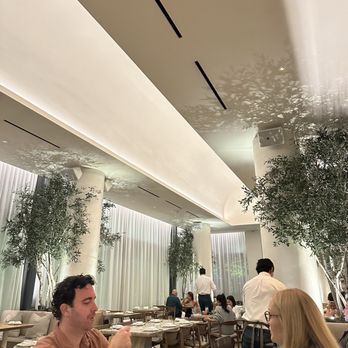 PREDALINA - Updated May 2025 - 883 Photos & 307 Reviews - 1001 E ...