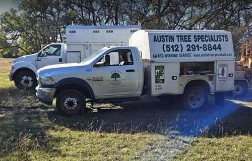 AUSTIN TREE SPECIALISTS - Updated December 2024 - 16 Reviews - 5900 ...