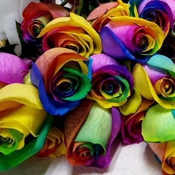 ROMULUS FLOWERS & GIFTS - Updated July 2025 - 39 Photos - 7563 Merriman ...