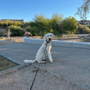 REATA SPORTS COMPLEX - Updated April 2025 - 9809 E McDowell Mountain ...