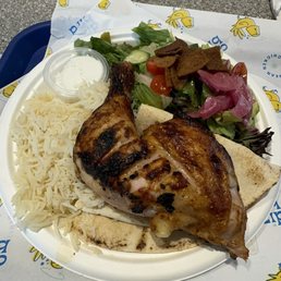 DIZZY BIRD - Updated December 2025 - 287 Photos & 403 Reviews - 555 The ...