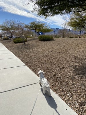 KNICKERBOCKER PARK - 101 Photos & 40 Reviews - 10695 Dorrell Ln, Las ...