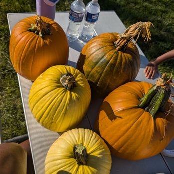 TEMPLE HALL FARM PARK - Updated October 2025 - 57 Photos & 25 Reviews ...