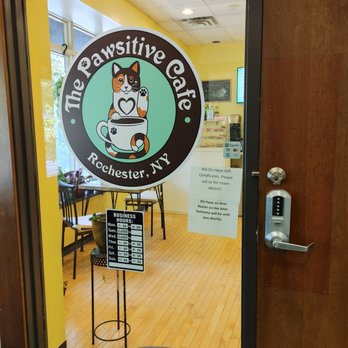 THE PAWSITIVE CAFE - Updated December 2025 - 35 Photos & 12 Reviews ...