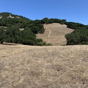 MT. BURDELL OPEN SPACE PRESERVE - 174 Photos & 42 Reviews - Novato ...