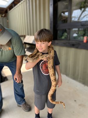 Zoos - ALLIGATOR ALLEY - 458 Photos & 149 Reviews - 19950 County Road ...