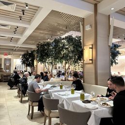 AVRA MADISON - Updated October 2025 - 1054 Photos & 555 Reviews - 14 E ...