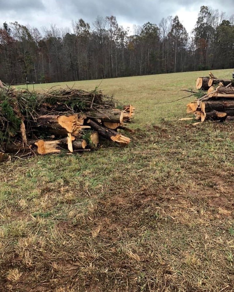 KNOL TREE SERVICE - Updated August 2025 - 18 Photos - Greensboro, North ...