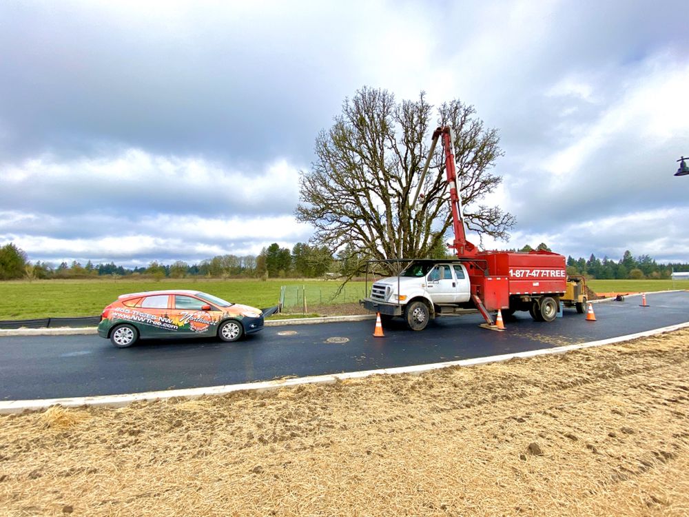 NORTHWEST ARBOR-CULTURE - TREE SERVICES - Updated August 2025 - 46 ...