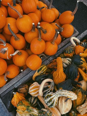 WEBER’S FARM - 156 Photos & 119 Reviews - 2526 Proctor Ln, Parkville ...