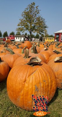 GOEBBERT’S FARM - 196 Photos & 169 Reviews - 42W813 Reinking Rd ...