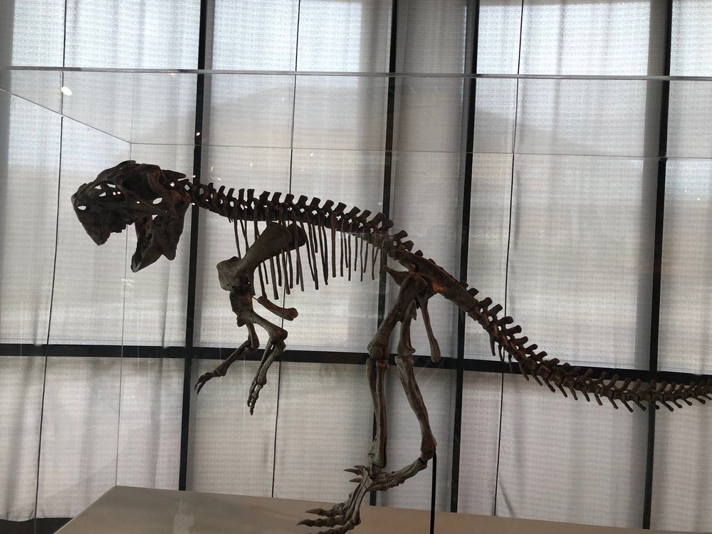 Louisiana Art and Science Museum, Baton Rouge | Roadtrippers