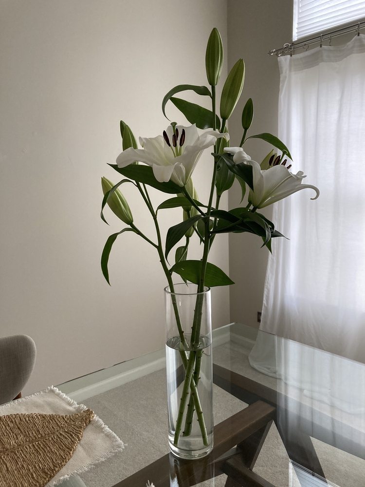 BUNCHES A FLOWER SHOP & CHICAGO FLOWER DELIVERY - Updated January 2026 ...