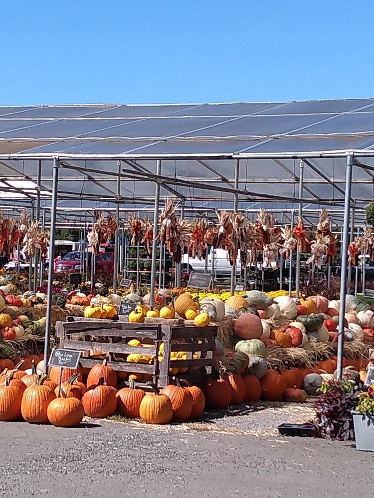 RICE’S SALE & COUNTRY MARKET - Updated September 2024 - 35 Photos & 66 ...