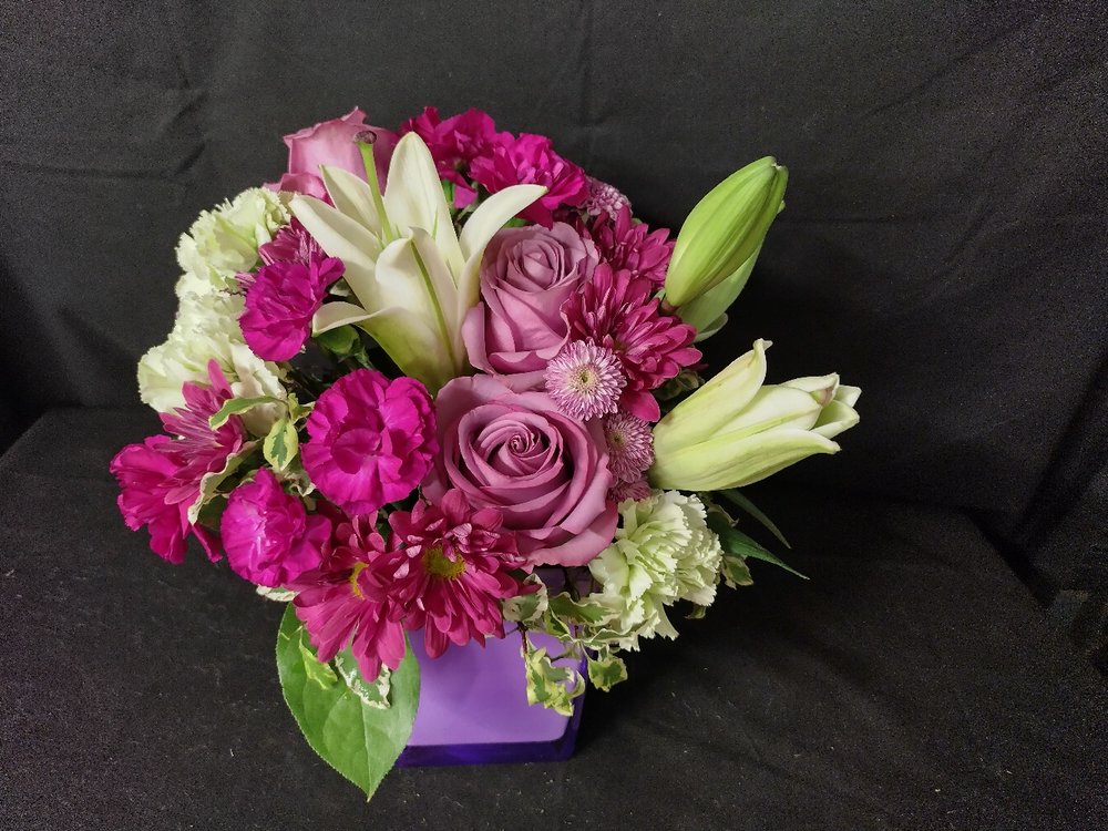 NOT JUST ROSES - Updated August 2025 - 14 Photos - 2110 Old Tyme Ave ...