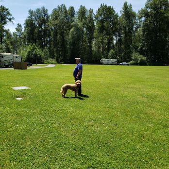 TOLT-MACDONALD PARK & CAMPGROUND - Updated October 2024 - 104 Photos ...