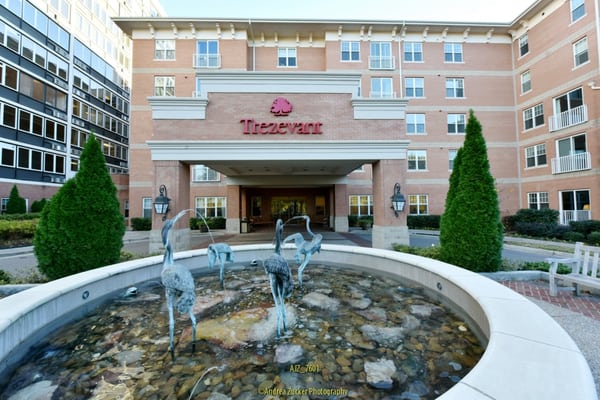 TREZEVANT MANOR - Updated January 2026 - 18 Photos - 177 N Highland St ...