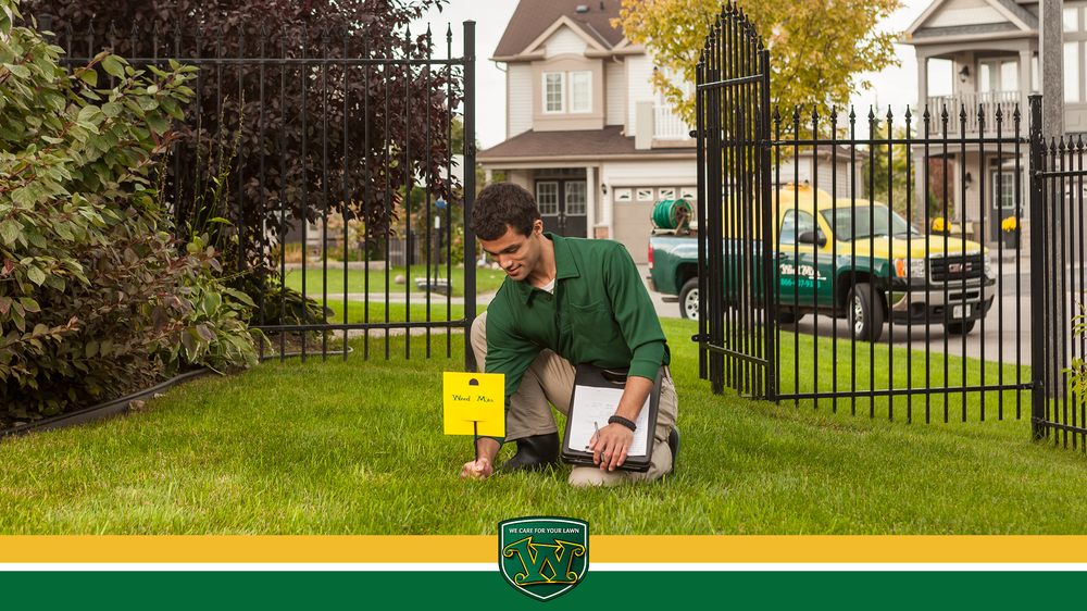 WEED MAN - 510 E Barnard St, West Chester, Pennsylvania - Lawn Services ...