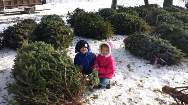 RENICK’S TREE FARM - Updated June 2025 - 721 W Sunbury Rd, West Sunbury ...