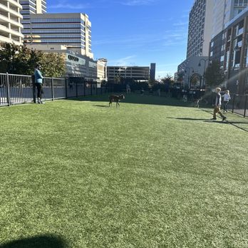 BIGGEST LITTLE DOG PARK - Updated August 2025 - 34 Photos - 151 W ...