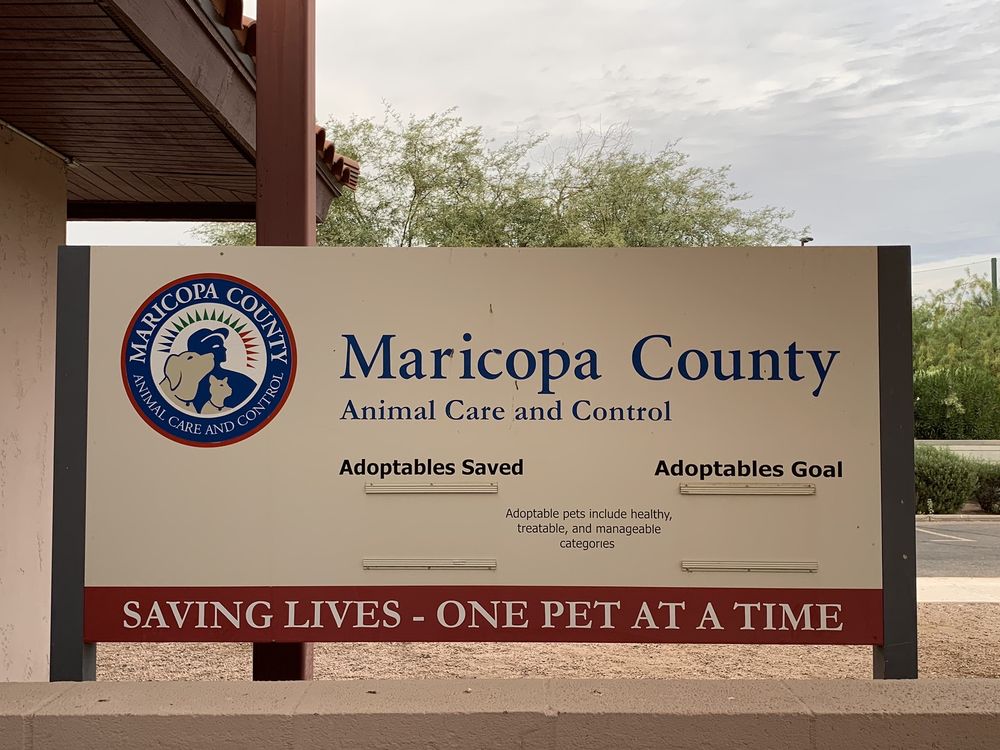 MARICOPA COUNTY ANIMAL CARE CENTER - FERMÉ - Updated July 2025 - 101 ...