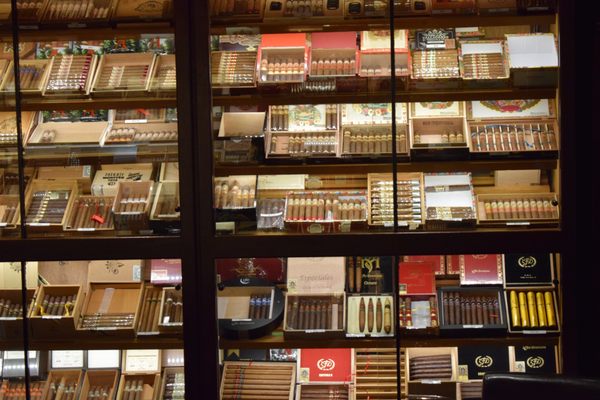 TITAN CIGAR - Updated March 2026 - 63 Photos & 51 Reviews - 2634 Chapel ...