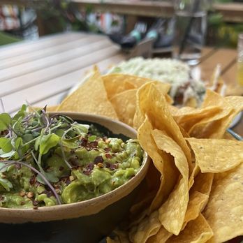 AGAVE MARIA - Updated December 2024 - 370 Photos & 146 Reviews - 170 ...