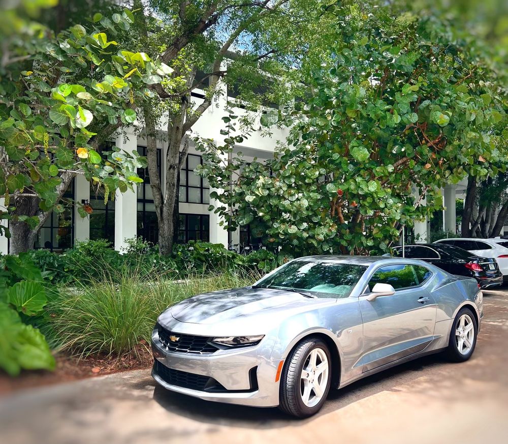 AVIS RENT A CAR - Updated December 2025 - 81 Photos & 171 Reviews ...