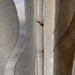 DOUBLETREE BY HILTON HOTEL SAN DIEGO - MISSION VALLEY - 546 Photos ...