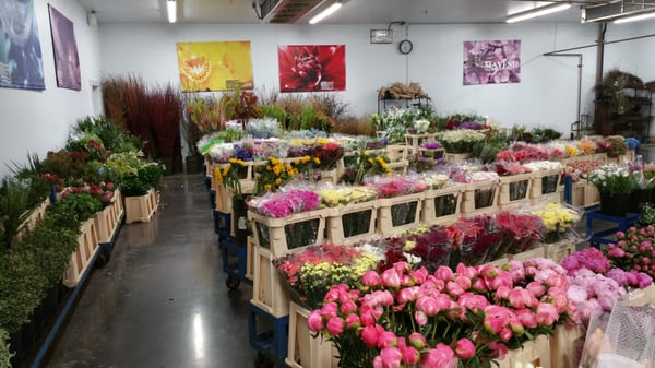 MAYESH WHOLESALE FLORIST - Updated June 2025 - 1805 W Crest Ln, Phoenix ...