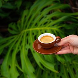 CAFE AQUI - Updated July 2025 - 144 Photos & 37 Reviews - 1811 2nd St ...