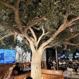 MEDDYS - Updated January 2026 - 165 Photos & 118 Reviews - 4820 E 61st ...