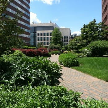 Cambridge Center Roof Garden Hours | Fasci Garden