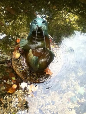 HIGHLAND PARK PUBLIC LIBRARY - Updated July 2025 - 61 Photos & 30 ...