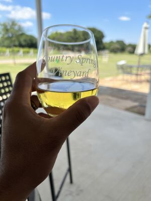 COUNTRY SPRING VINEYARD AND WINE GARDEN - Updated October 2025 - 76 ...