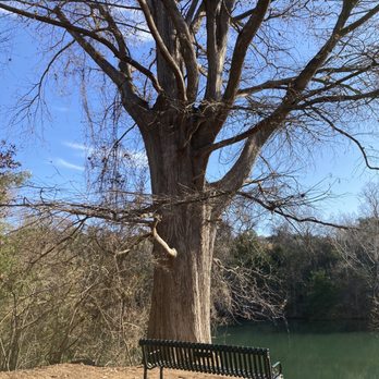 RED BUD DOG PARK - Updated December 2025 - 163 Photos & 81 Reviews ...