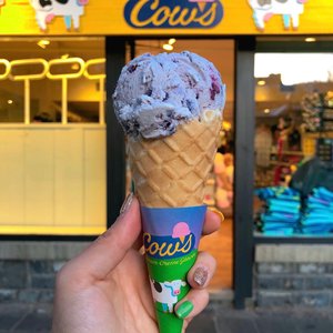 COWS - 241 Photos & 137 Reviews - 138 Banff Avenue, Banff, Alberta ...