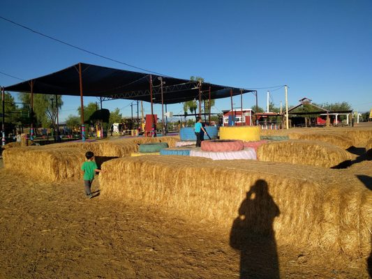 VERTUCCIO FARMS FALL FESTIVAL - 28 Photos & 12 Reviews - 4011 S Power ...