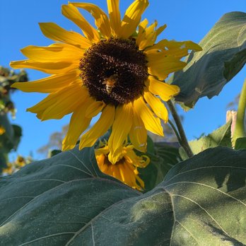 CRYSTAL BAY FARM - Updated October 2025 - 162 Photos & 76 Reviews - 40 ...