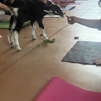 FERRARI FARMS - Updated October 2025 - 191 Photos & 69 Reviews - 4701 ...