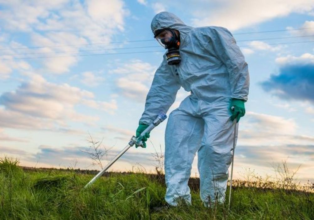 ELITE PEST DEFENDERS - Pest Control - Seattle, Washington - Request a ...