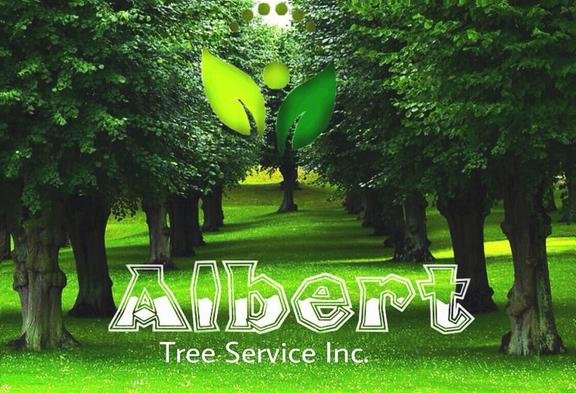 ALBERT TREE SERVICE - Updated July 2025 - 1917 N Preston Rd, Avon Park ...